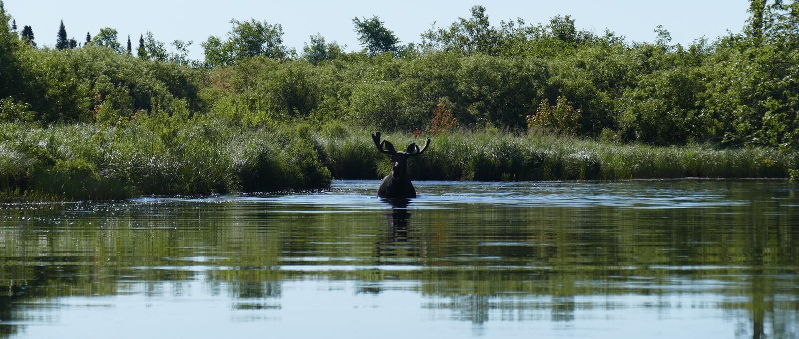 How It Works - Project Management Processes - Temple University - LERN ...